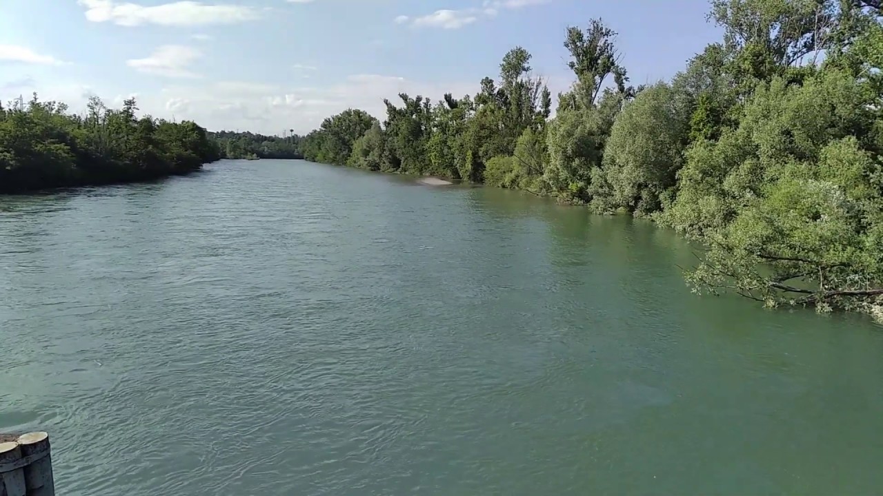 15 GIUGNO 2020: CARTOLINE DAL FIUME ADDA - YouTube