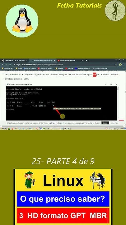 25- Curso de Linux para Leigos PARTE 4 de 9 de 3- Formato do HD GPT MBR. Disco rígido é gpt ou ...