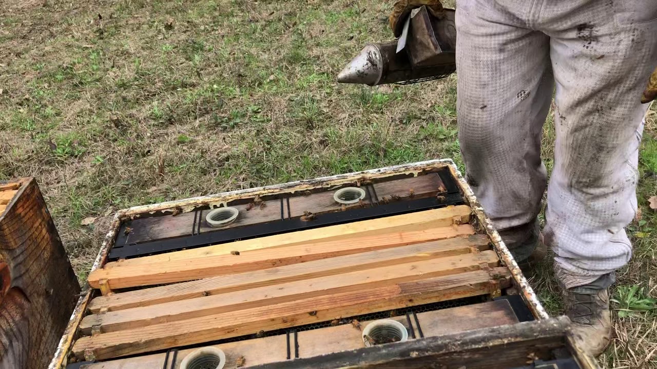 Looking at patterns with Matt Winstead - YouTube