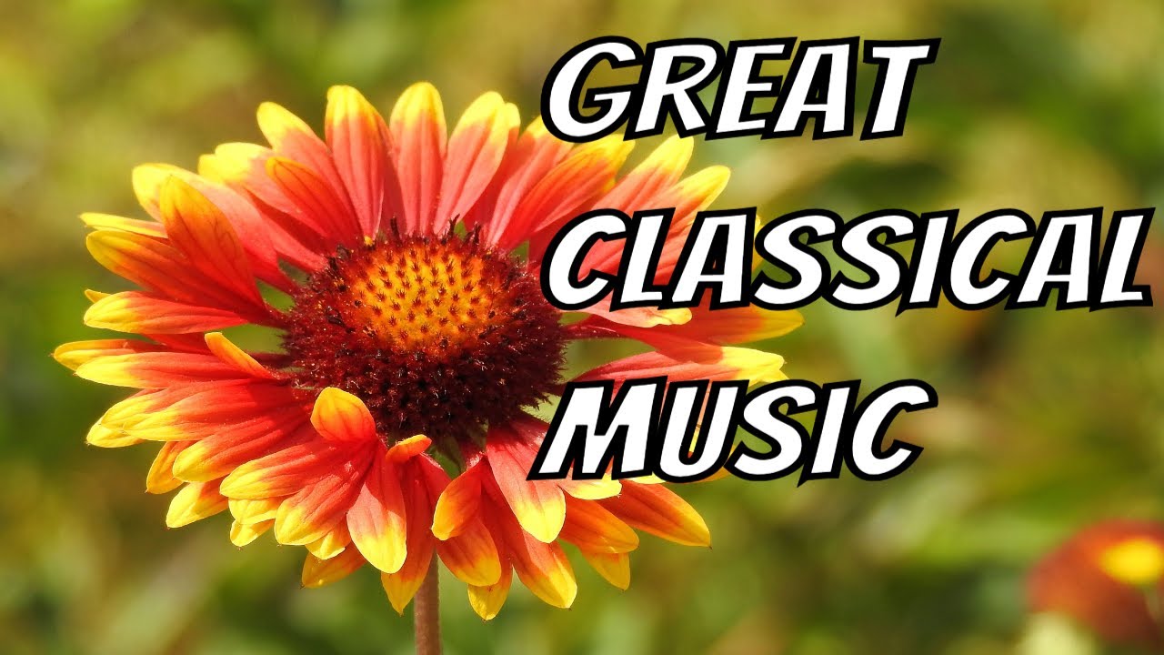 GREAT CLASSICAL MUSIC NOCTURNES BY CHOPIN - YouTube