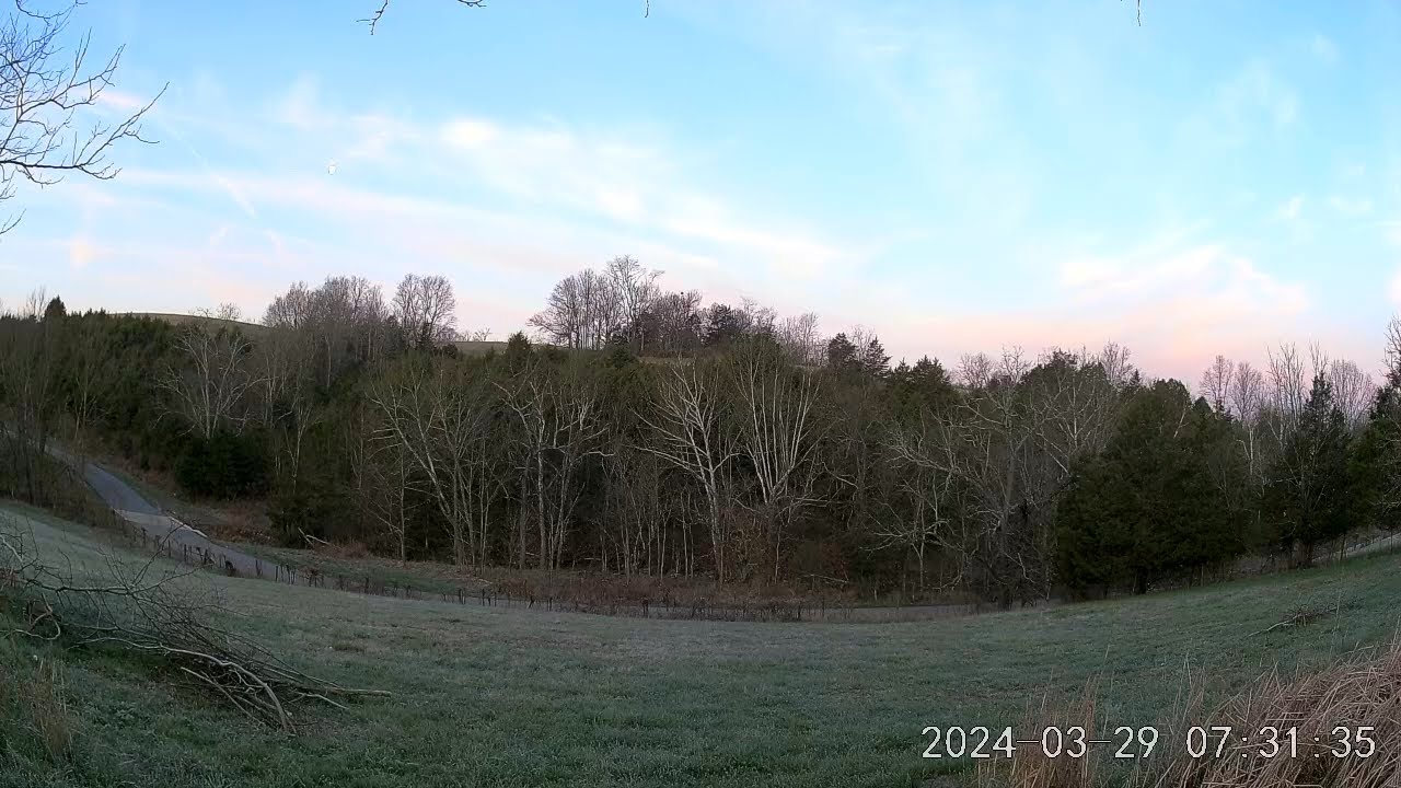 Good Morning from OWLS Kentucky | Morning Bird Songs #birdslover # ...