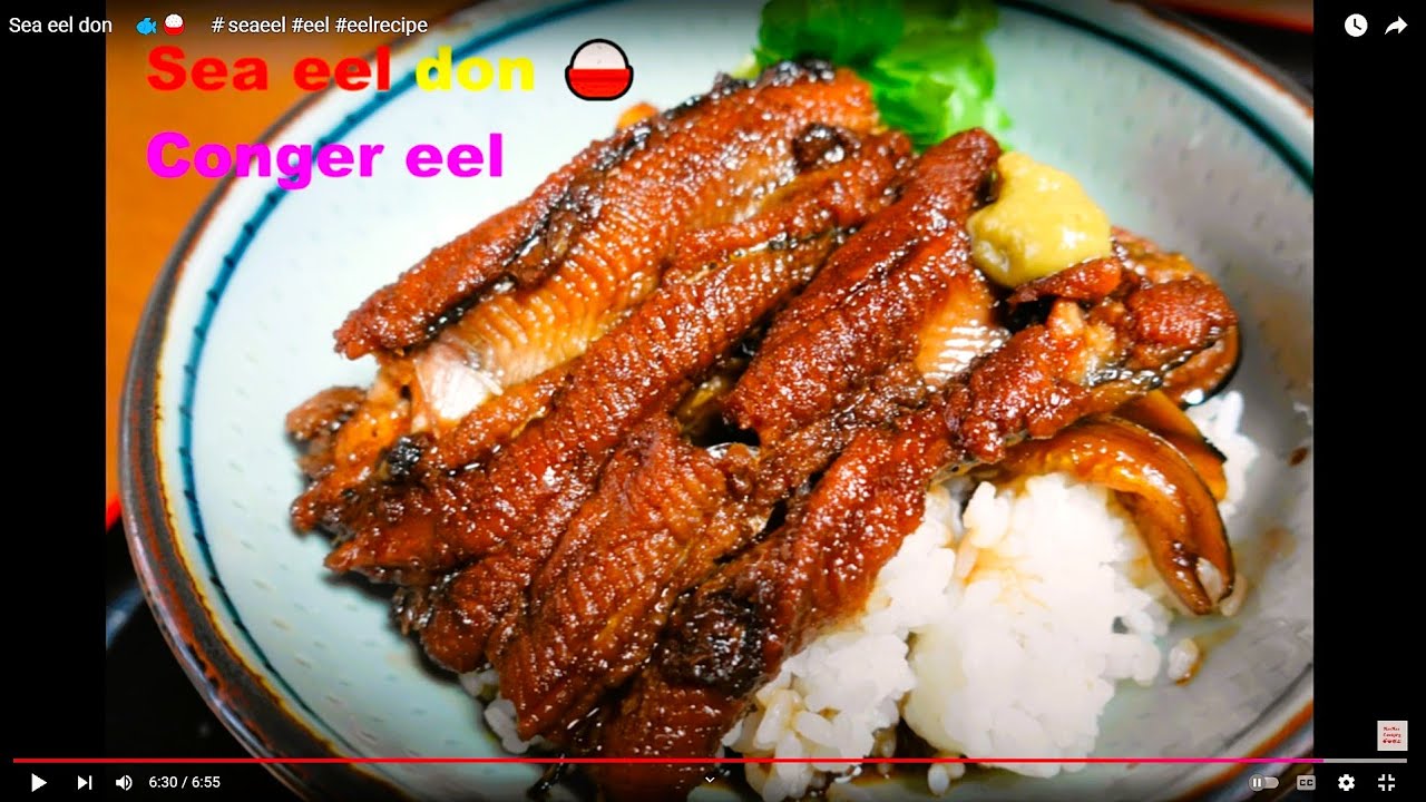 Conger eel don 【conger eel : anago】 🐟🍚 ＃seaeel #eel #eelrecipe - YouTube