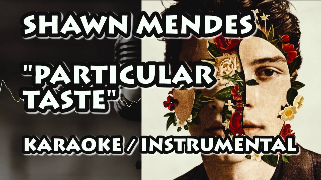 SHAWN MENDES - PARTICULAR TASTE (KARAOKE / INSTRUMENTAL / COVER / W ...