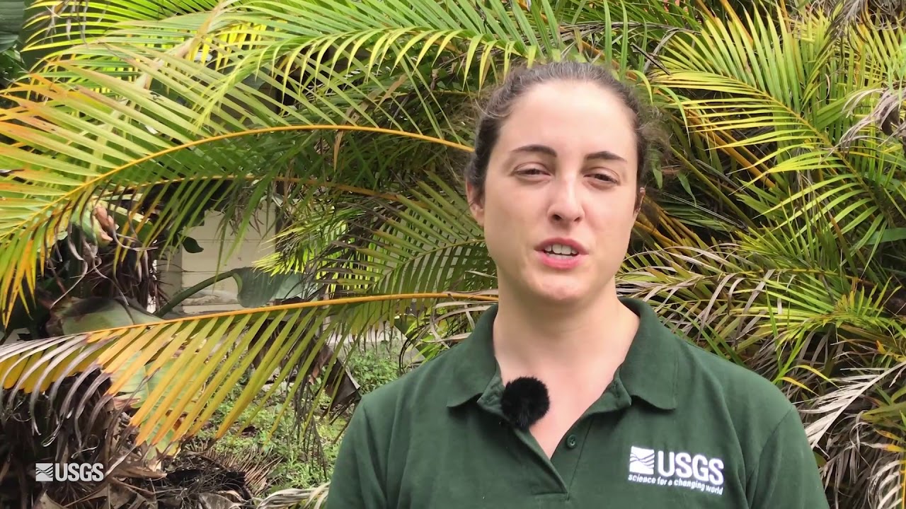 USGS Kilauea update on June 2, 2018 - YouTube