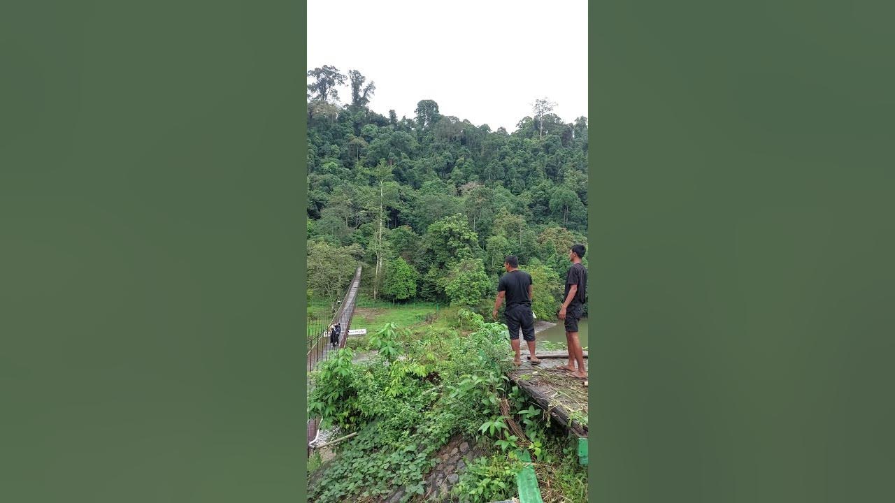 Tangkahan Merupakan Destinasi Ekowisata Dengan Suasana Alam Yang Masih