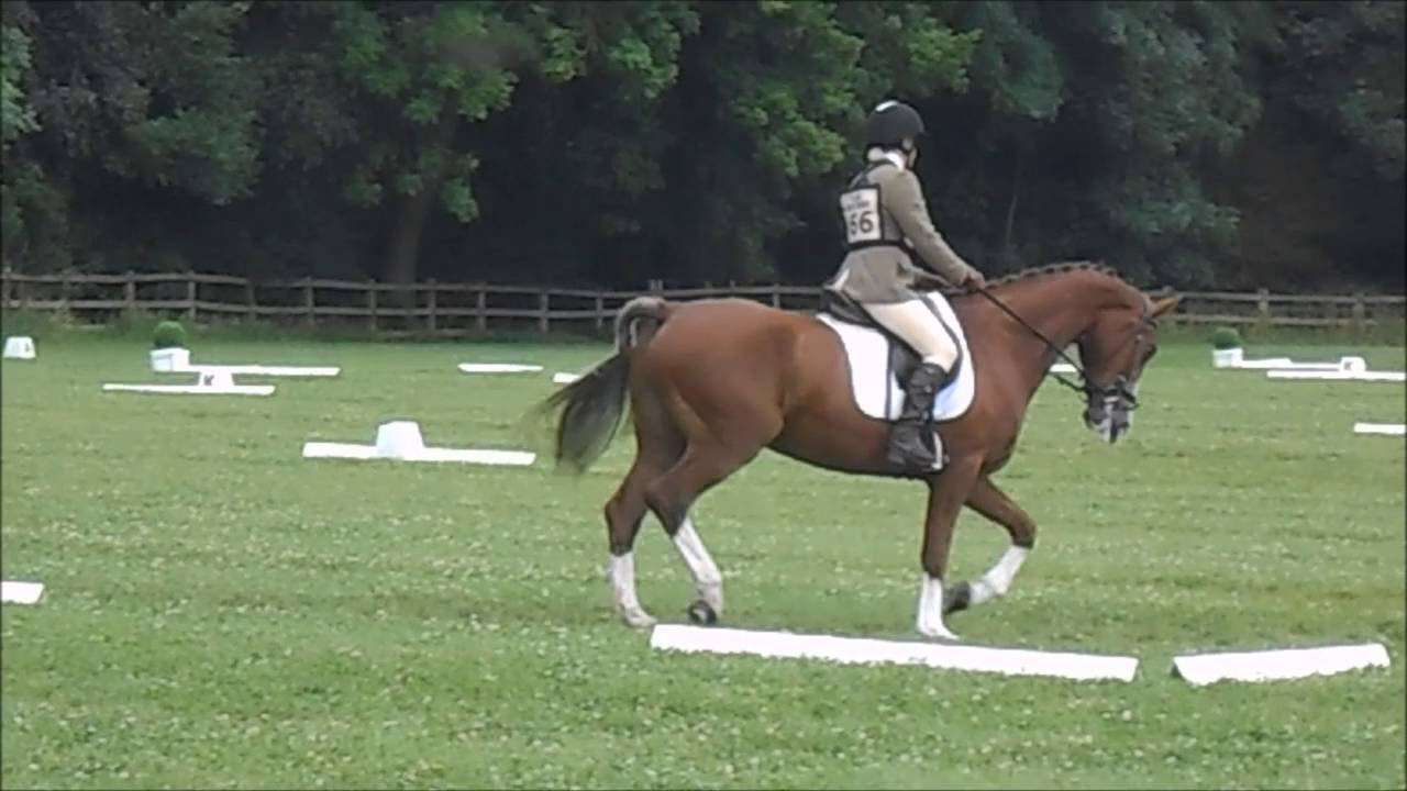 Eddie dressage frickley BE90 July 2016 - YouTube