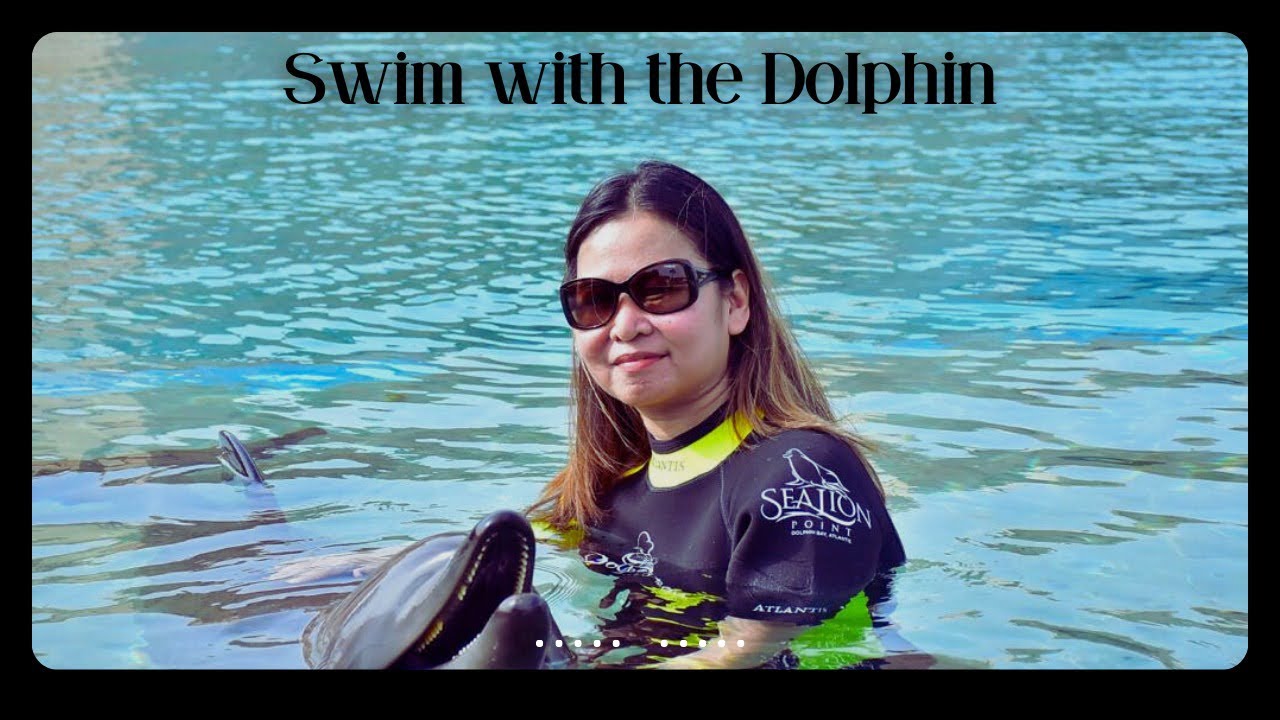 Swim with the Dolphins at Dolphin Bay Atlantis the Palm I Joy - Vibes ...