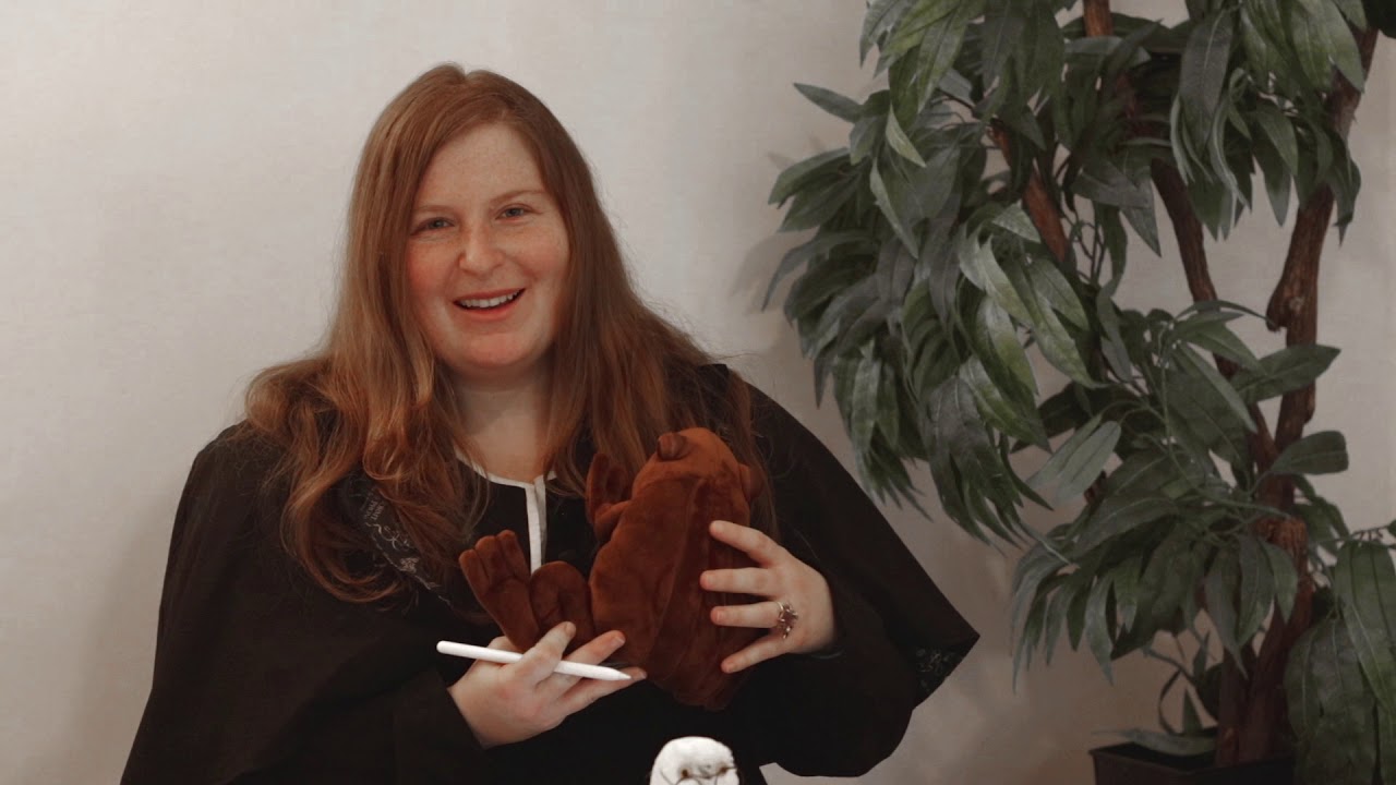 Wizard Math! Reviewing Fractions, Decimals, & Percents with Professor ...