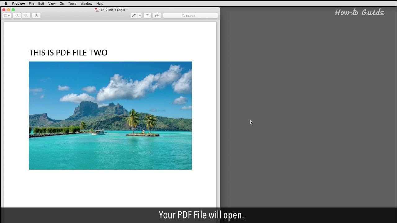 How To Type On A PDF Document on Mac - YouTube