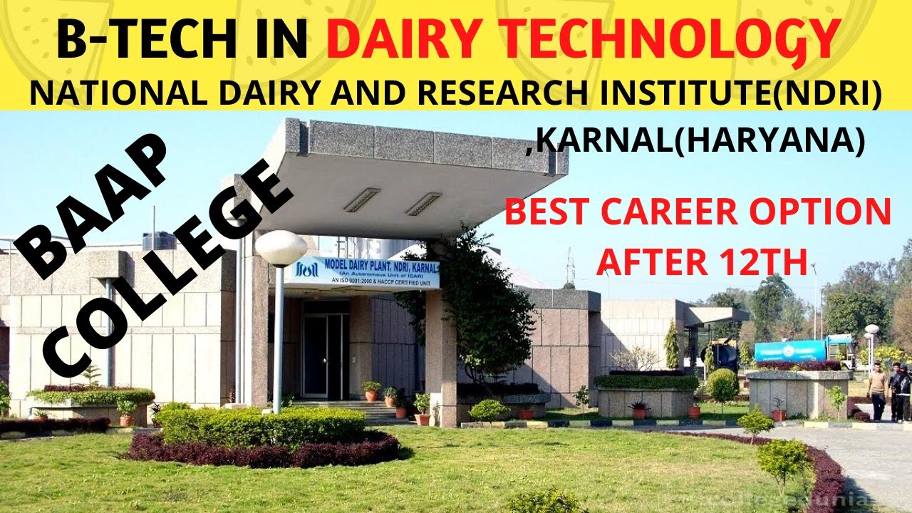 NDRI Karnal Cutoff |Btech in DAIRY TECHNOLOGY | dairy farm|dairy farm ...
