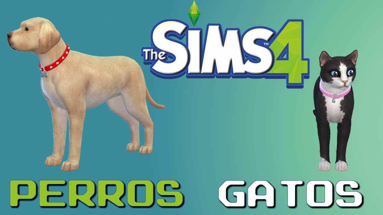 Sims 4 mods : Gatos 🐱 y Perros 🐶 en Sims 4- Tutorial 3 - YouTube