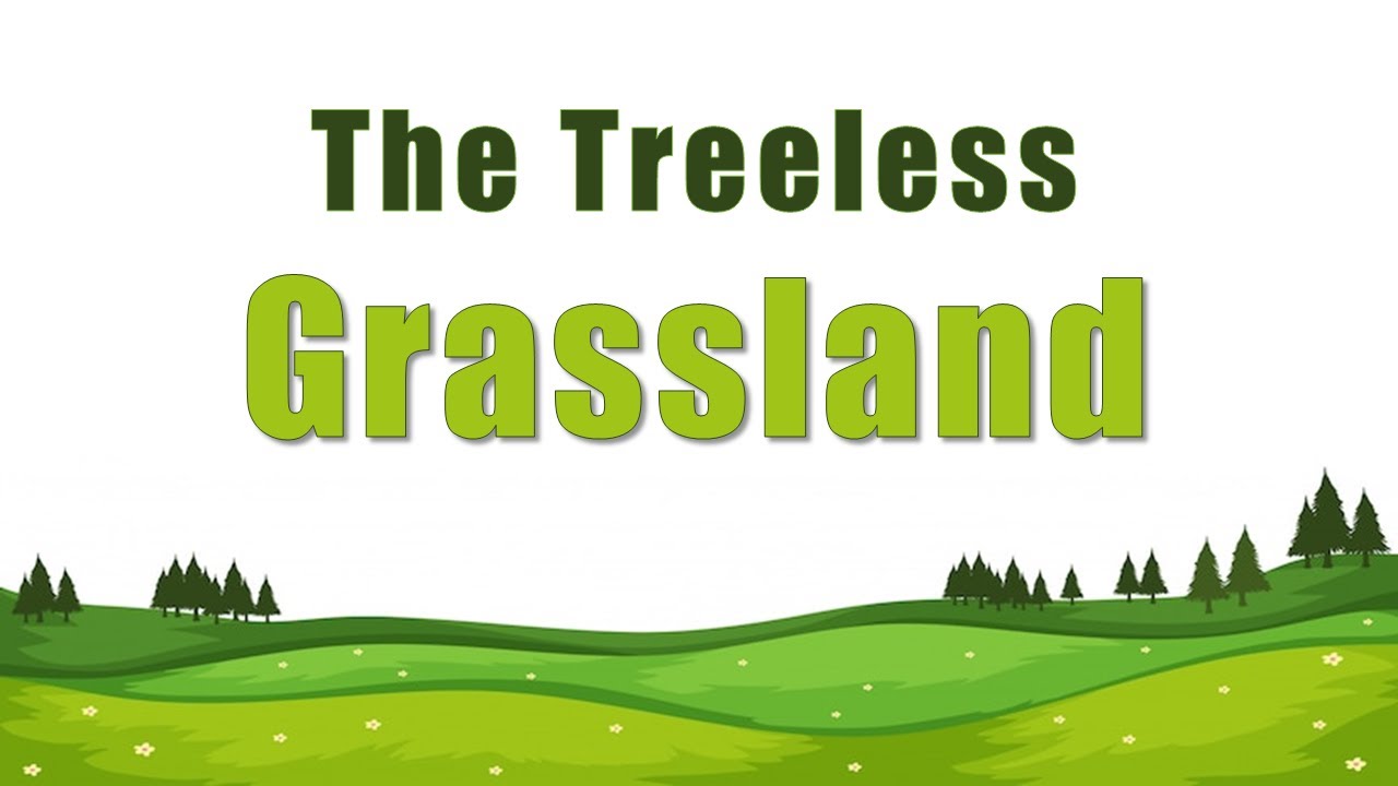 The treeless Grasslands l Prairies l Class 5 Social Science - YouTube