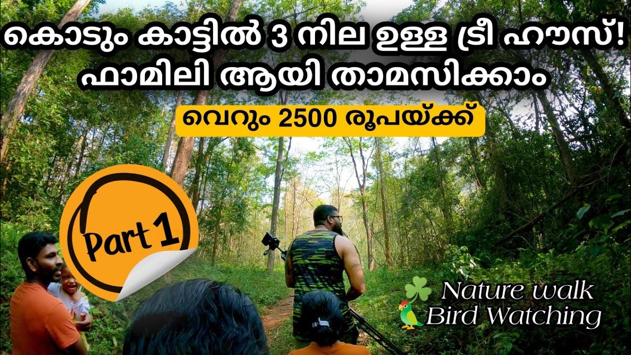 2500 രൂപക്ക് കാടിനുള്ളിലെ മൂന്ന് നിലയുള്ള ട്രീ ഹൗസി ...