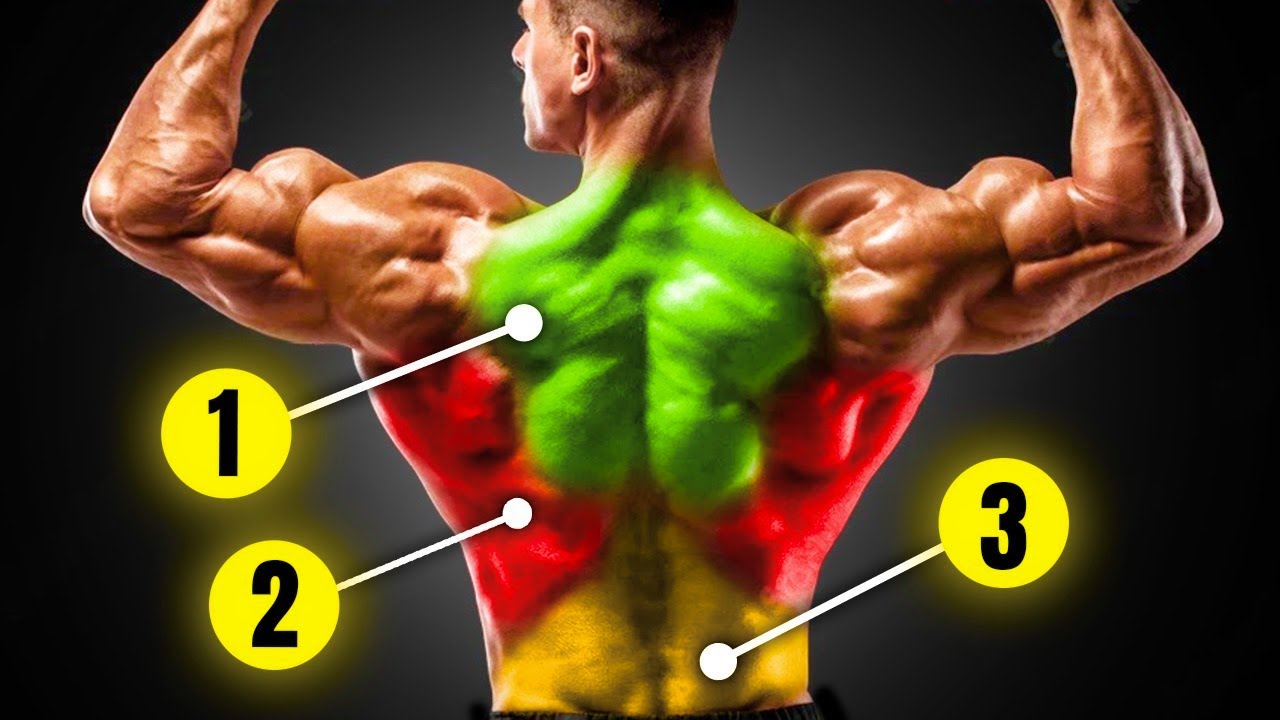 The ONLY 4 Exercises You Need for a MASSIVE BACK - YouTube