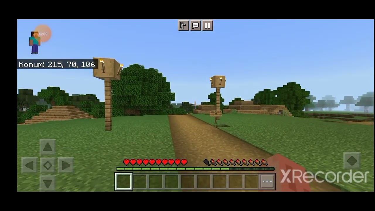 Minecraft Ama Elmas Bulamassam video biter! - YouTube