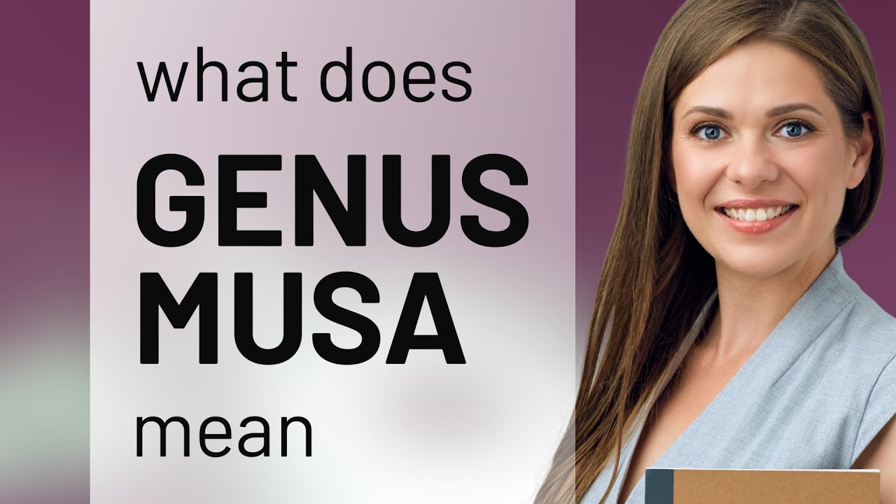 Genus musa — definition of GENUS MUSA - YouTube
