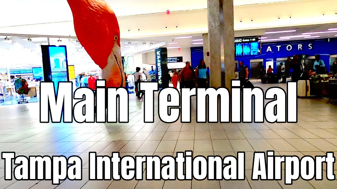 ️🚶TPA Main Terminal - Tampa International Airport, Tampa Bay, FL - YouTube
