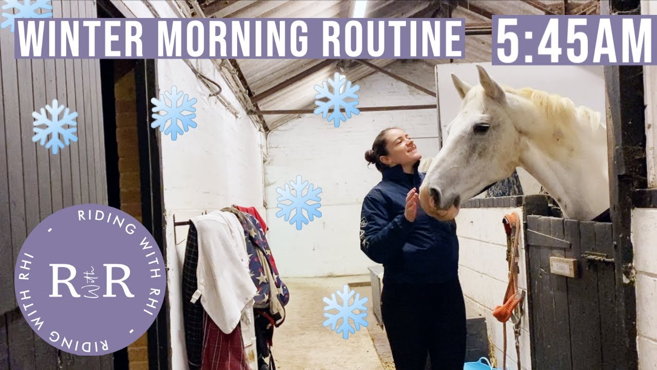 Autumn/Winter Morning Routine of an Equestrian 2020 (6am Start ...