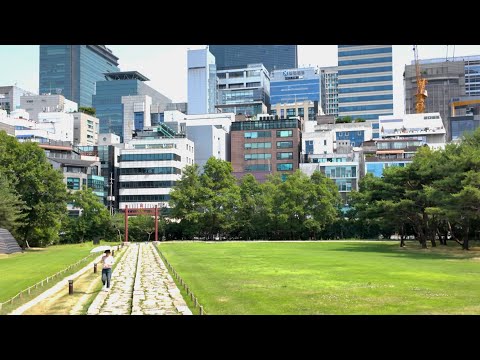 서울 선릉과 정릉(선정릉)~ 강남 빌딩 숲속 왕릉 산책 | 4K HDR