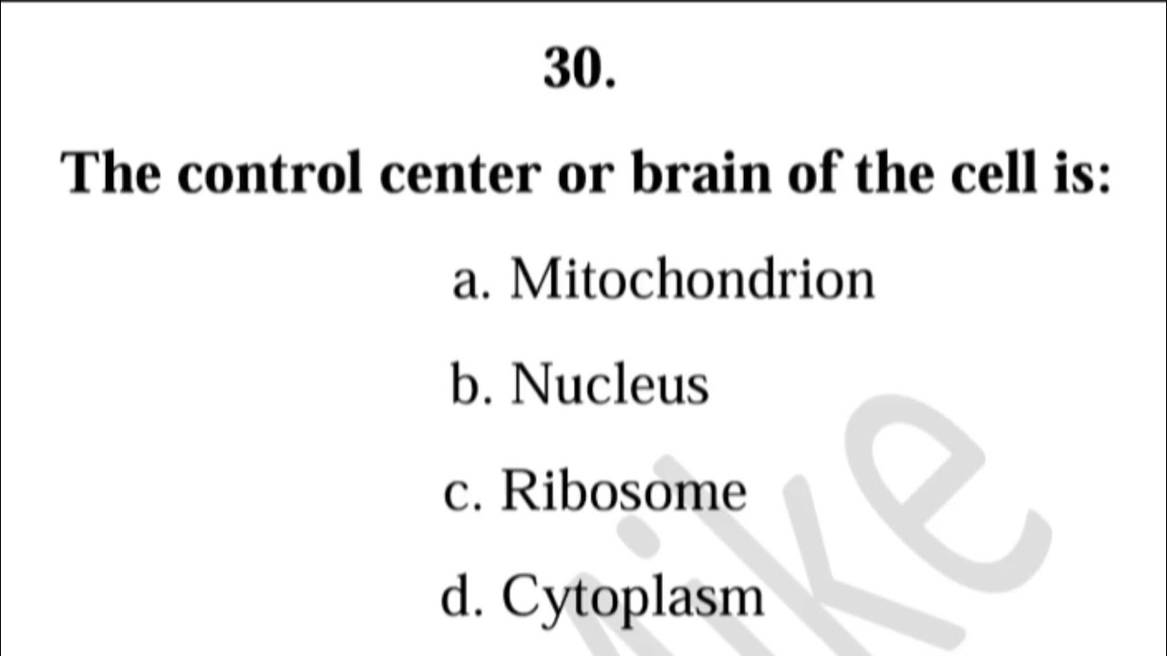 Understand Mitochondrion, Nucleus, Ribosomes, other Cell Organelles ...