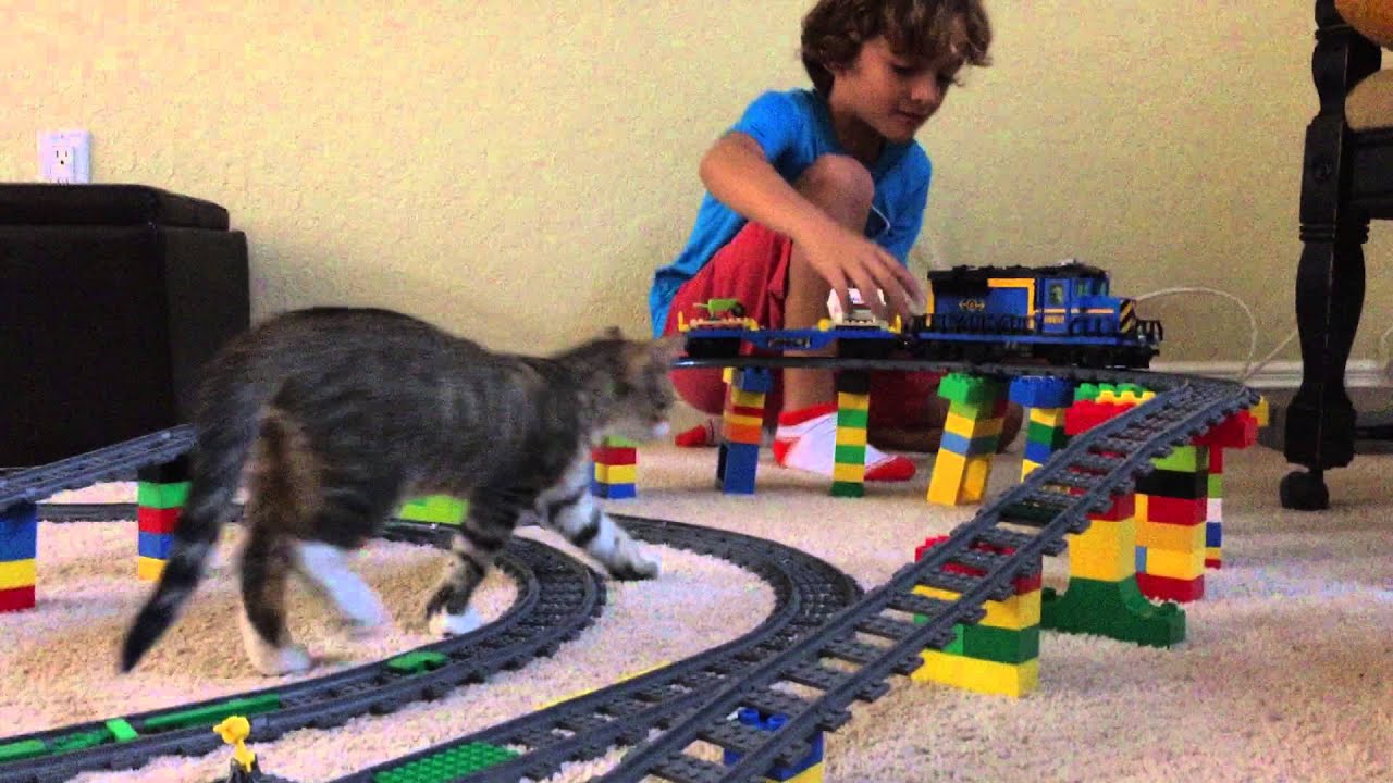 Cats and Lego Trains - YouTube