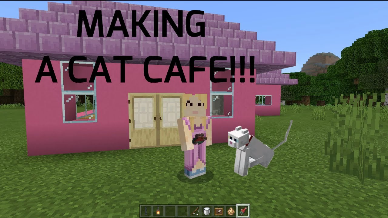 Making a Cat Cafe I Minecraft - YouTube