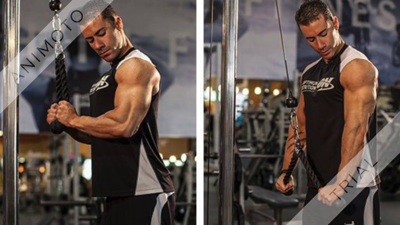 Testosterone XL (UK) - Must Read "OFFICIAL REVIEWS 2019" BEFORE BUY ...