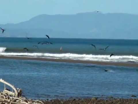 BOCA BARRANCA - COSTA RICA - 04-02-2011 - 3ª SINA SURF TRIP 040.mpg ...