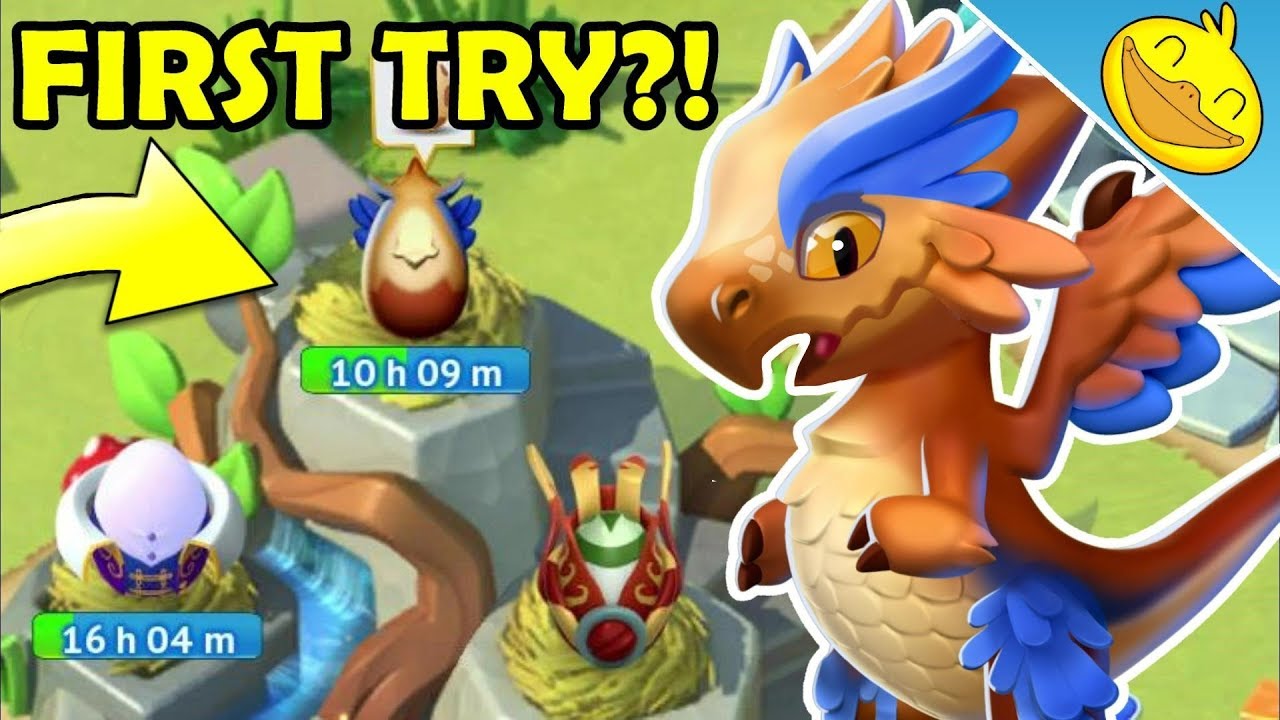 New HARPY DRAGON Breeding Guide! How to Breed It + More Update Features ...