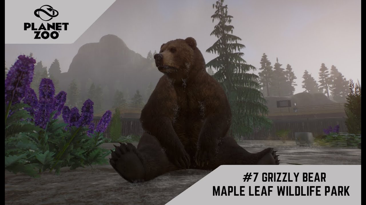 PLANET ZOO | MAPLE LEAF WILDLIFE PARK WALKTHROUGH | #7 GRIZZLY BEAR ...