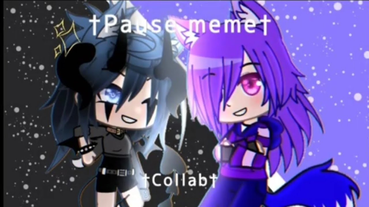 Pause meme || collab with †vicky_wolf† || qwp 💜💙 - YouTube