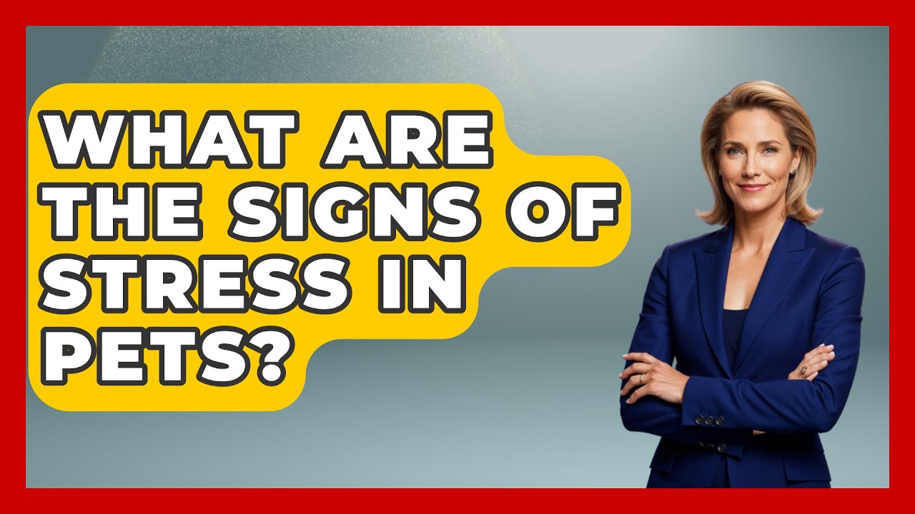 What Are the Signs of Stress in Pets? | Ask A Pet Vet - YouTube