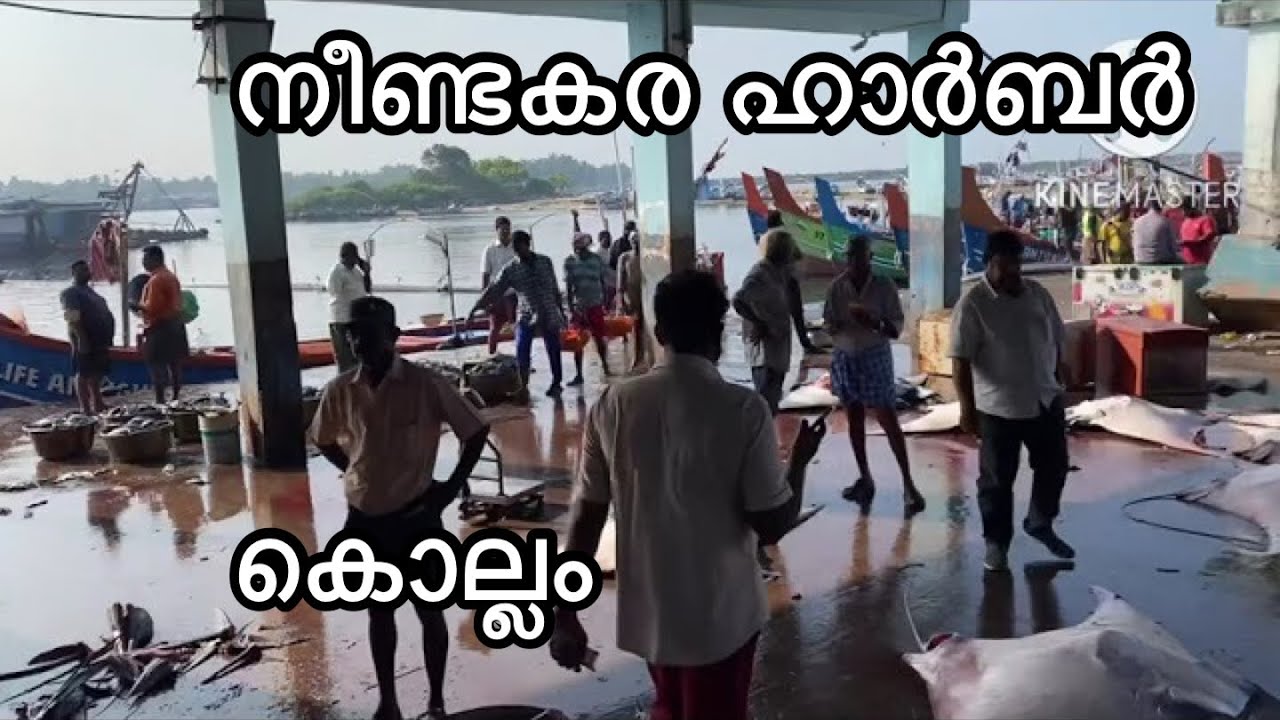 Kollam Neendakara Harbor , Good place to get fresh fish. നീണ്ടകര ഹാർബ ...
