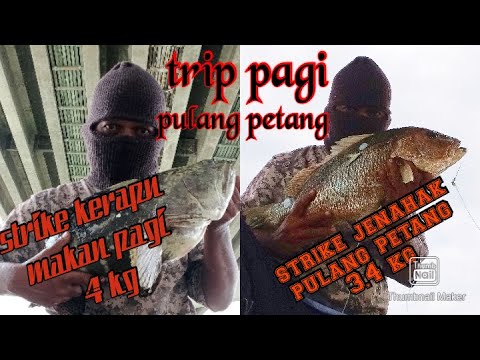 Strike koyan...krapu monster dan jenahak monster...mancing.bawah ...