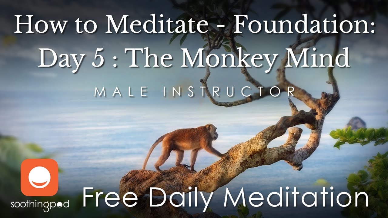 How to Meditate - Foundation | 💚Day 5: The Monkey Mind | Mindfulness Meditation Beginners - YouTube