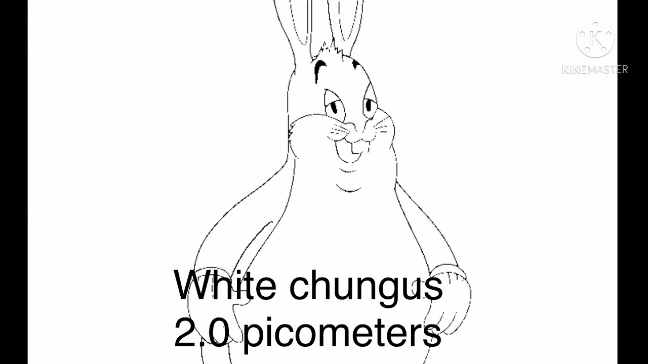 My very own big chungus size comparison - YouTube