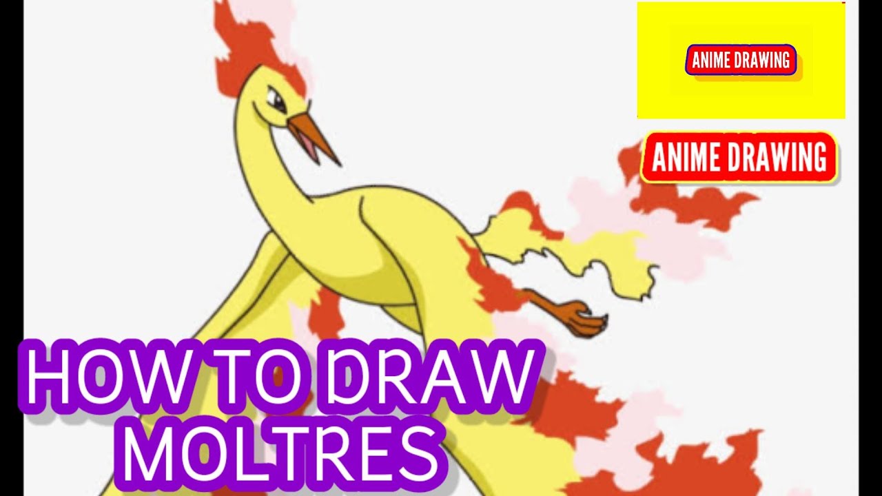 HOW TO DRAW MOLTRES FROM POKEMON | ANIME DRAWING - YouTube