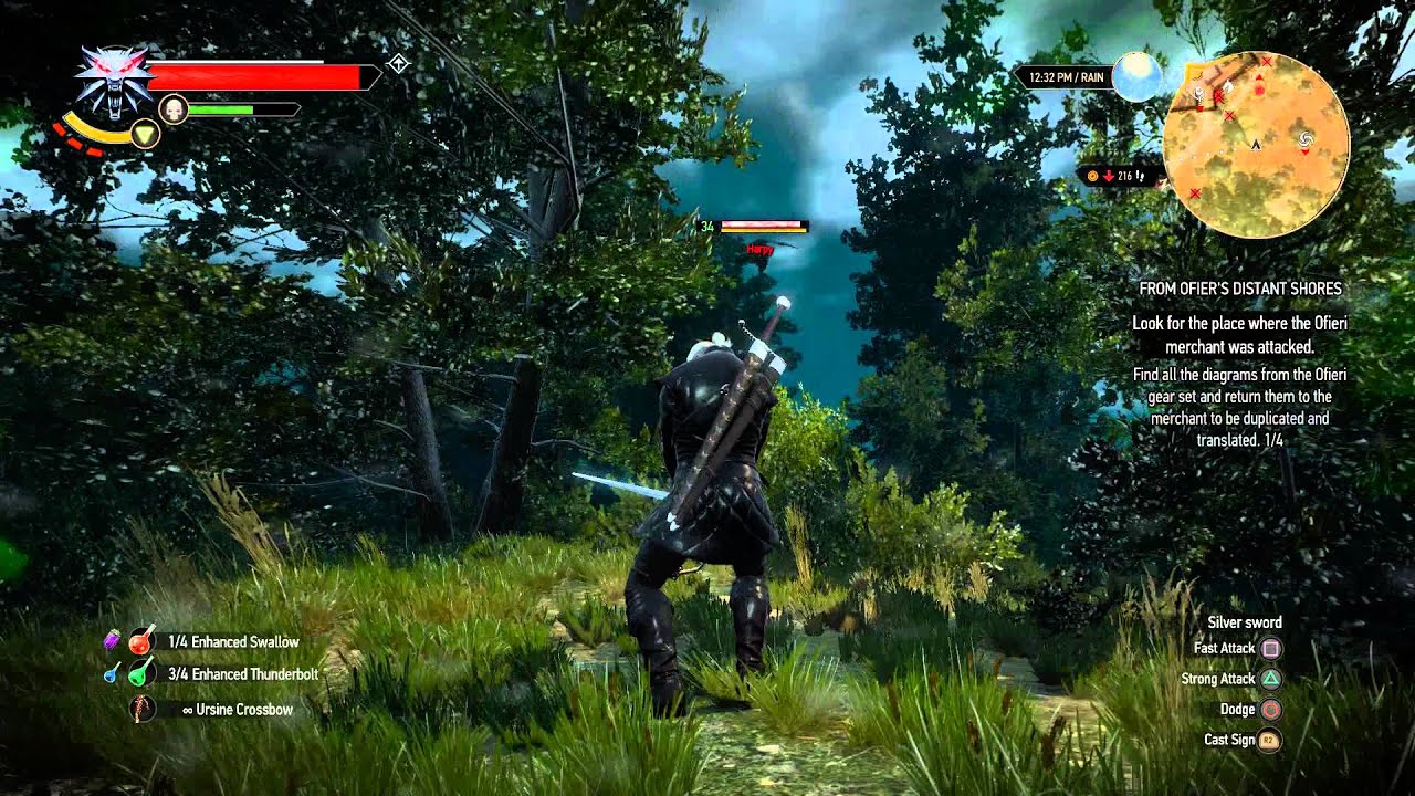 The Witcher 3: Hearts of Stone - Hidden Treasure: Lvl 34 Harpy & Erynia ...