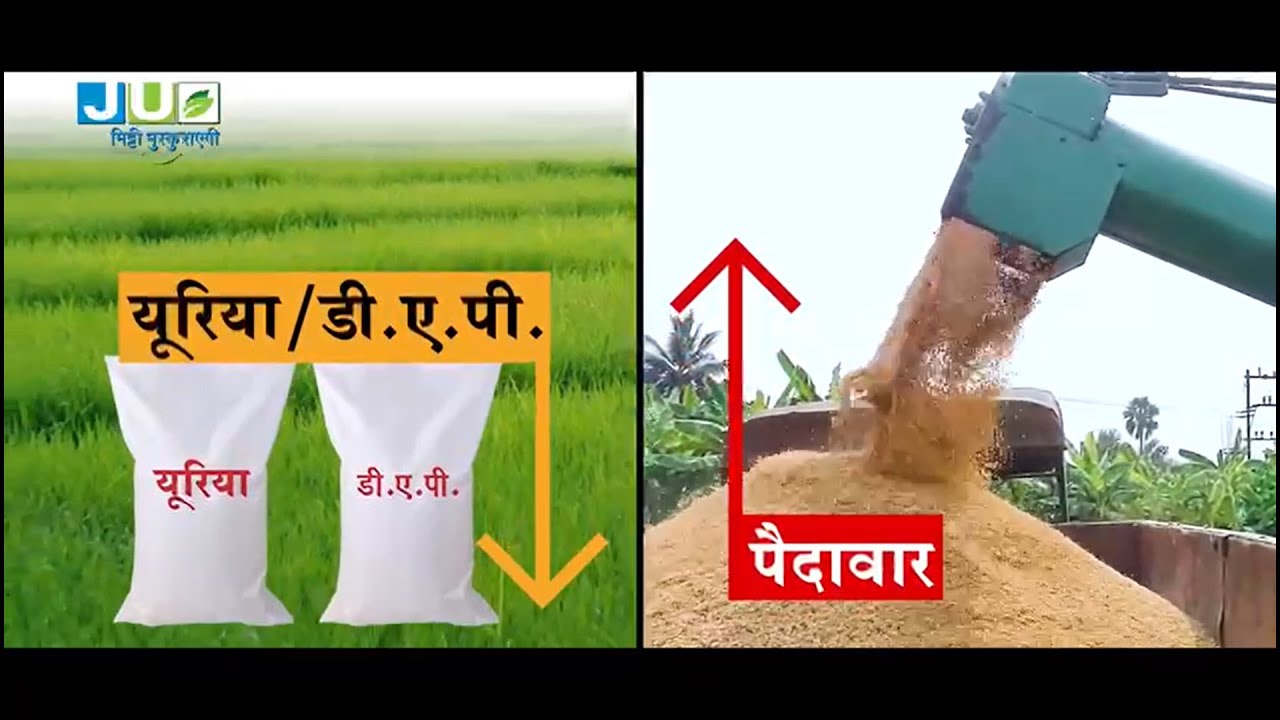 Biofertilizers | Ecomax | Azomax | Increase Crop Yields | Reduce ...