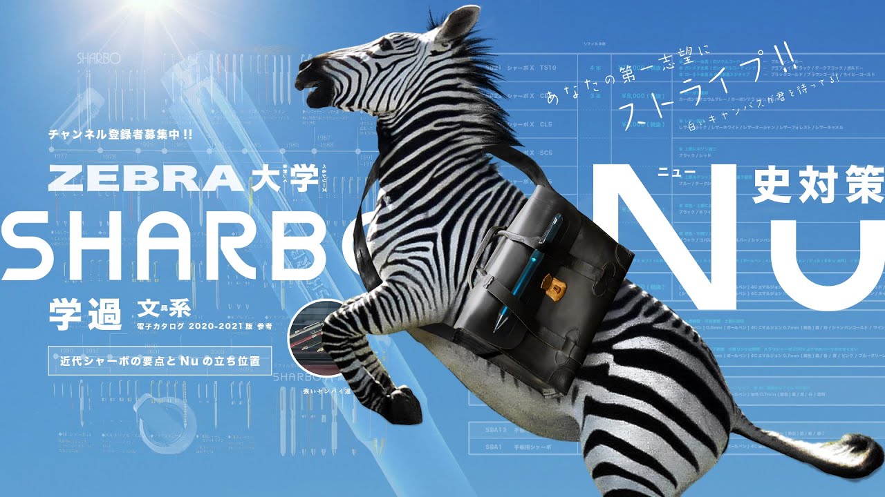 【永久保存版】シャーボの購入で悩んでる方必見 ! これでバッチリ !!「近代シャーボの要点と シャーボ ニュー の立ち位置」の表で超スッキリ ...