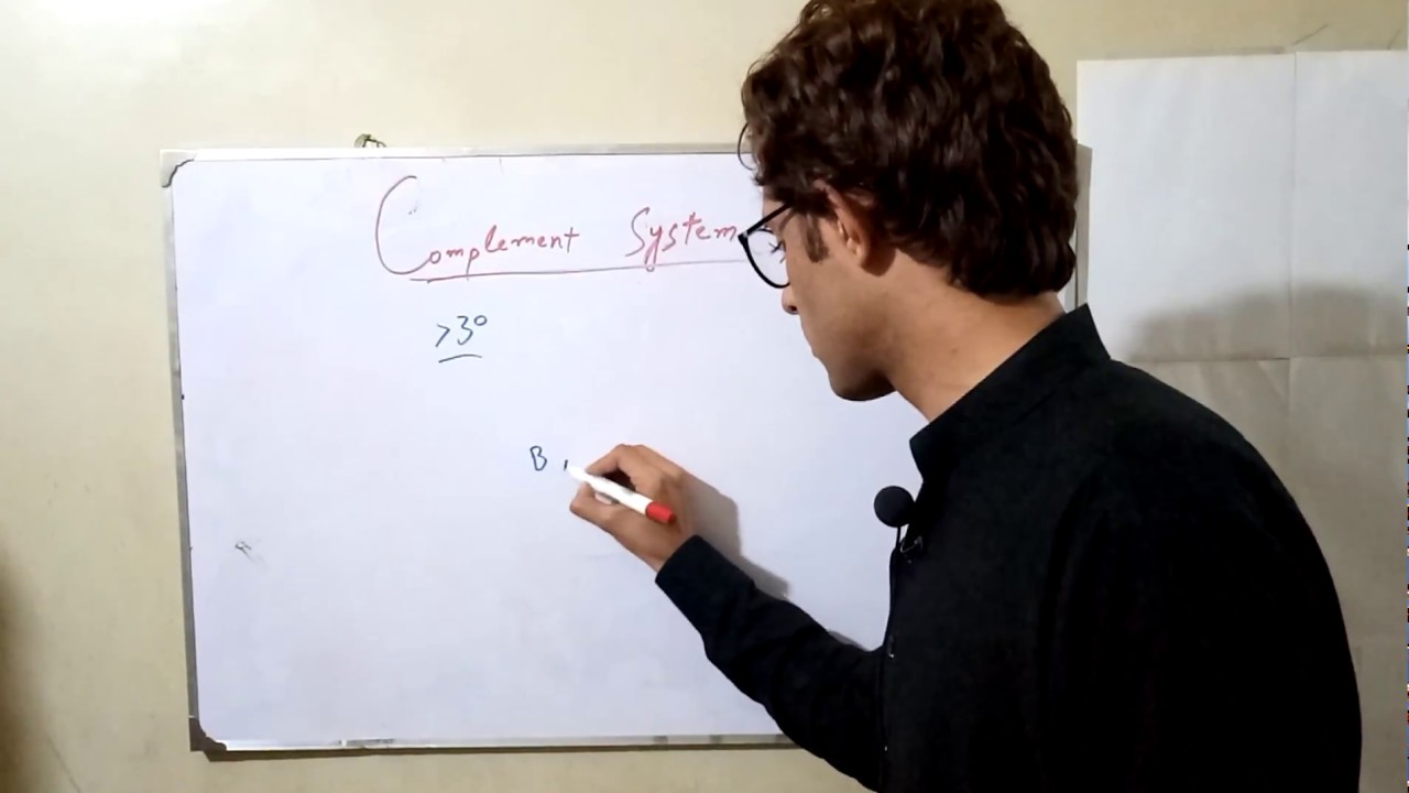 What Is Complement System Classical Pathway Of Complement Activation 5605