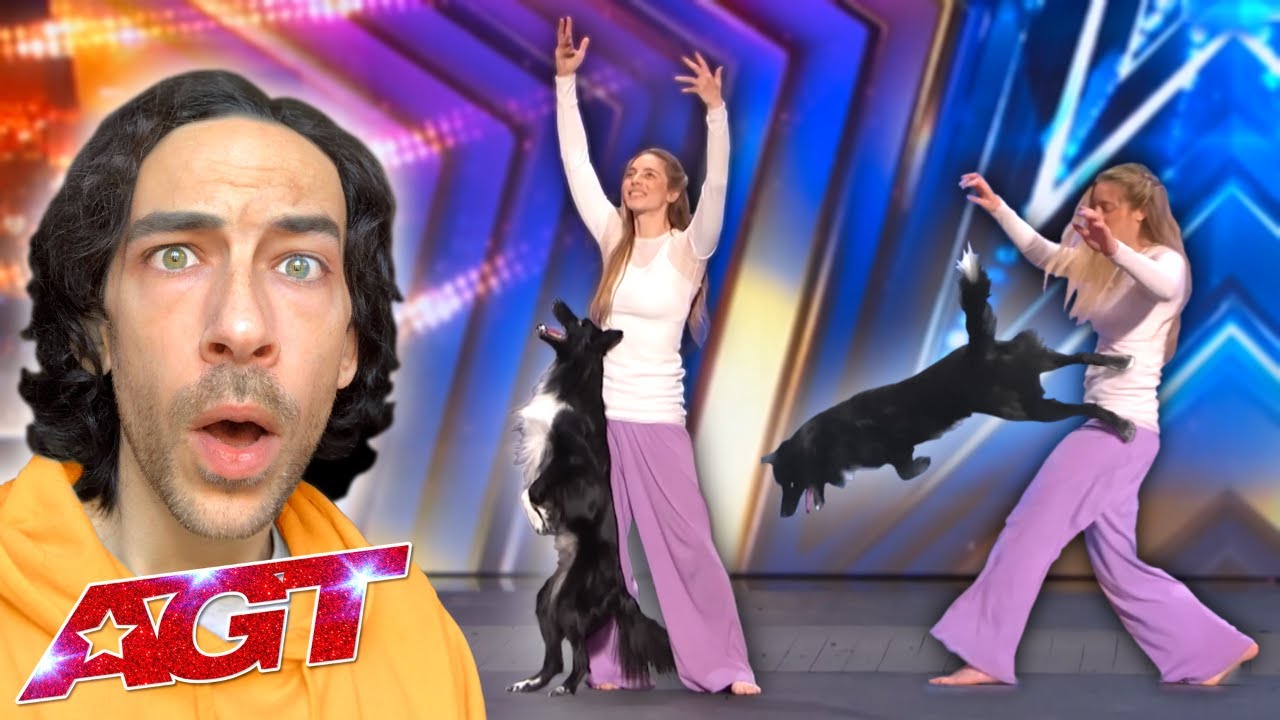 ADDESTRATORE REAGISCE a RONI SAGI @ America's Got Talent 2024 ...