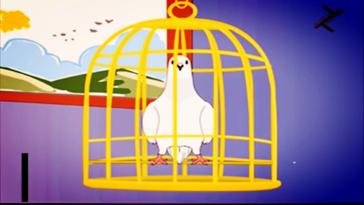 Escape for Freedom(Bird Escape) Intro Story - YouTube