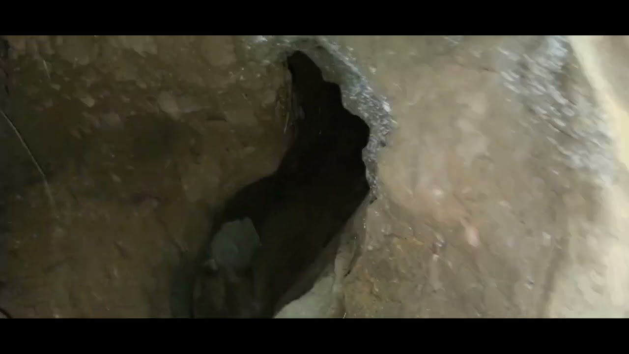 going back to the cave - YouTube