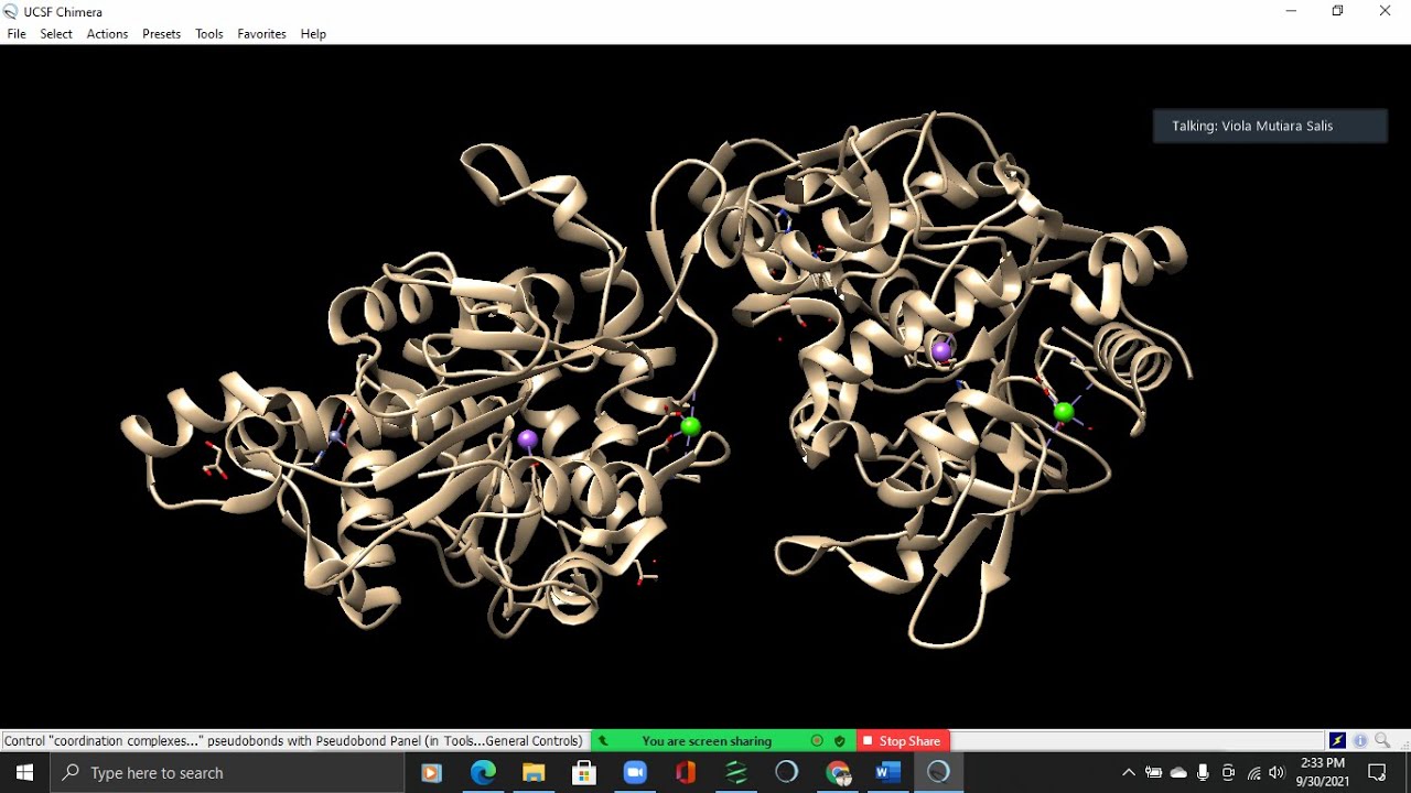Melihat bentuk 3D Protein menggunakan Cn3D, NCBI dan RCSB PDB ...