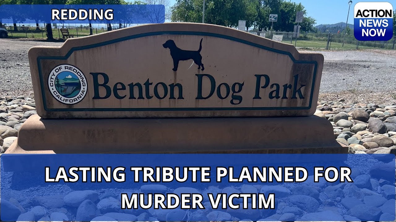 Athena Passidakis' parents to donate entirety of fundraiser money to ...