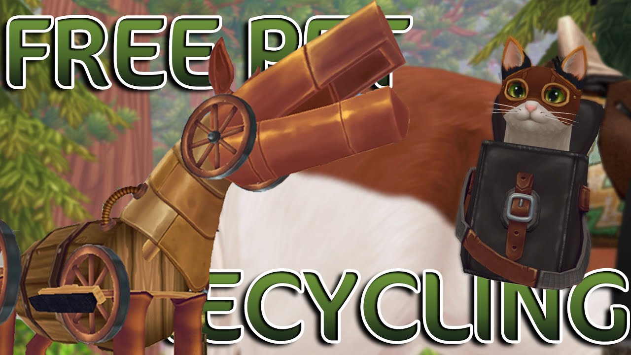 Star Stable FREE NEW CAT 😻 All H.O.R.S.E Levels + Rewards!! - YouTube