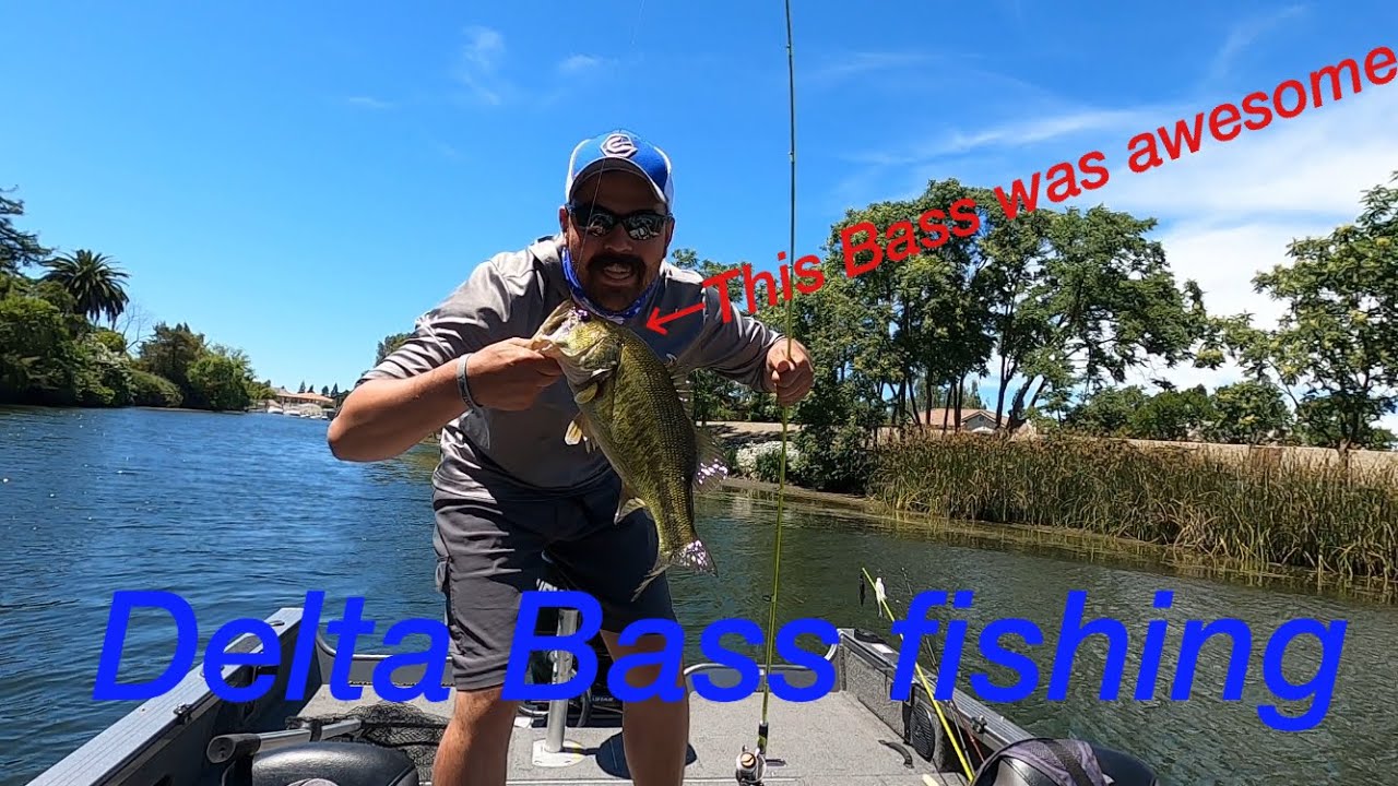 Check out these Delta Bass. Great day of fishing. - YouTube