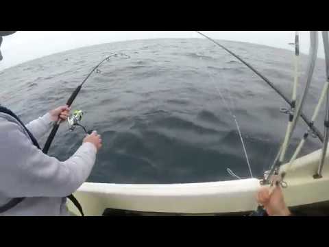 Fishing Southern Bluefin tuna Portland Vic - YouTube