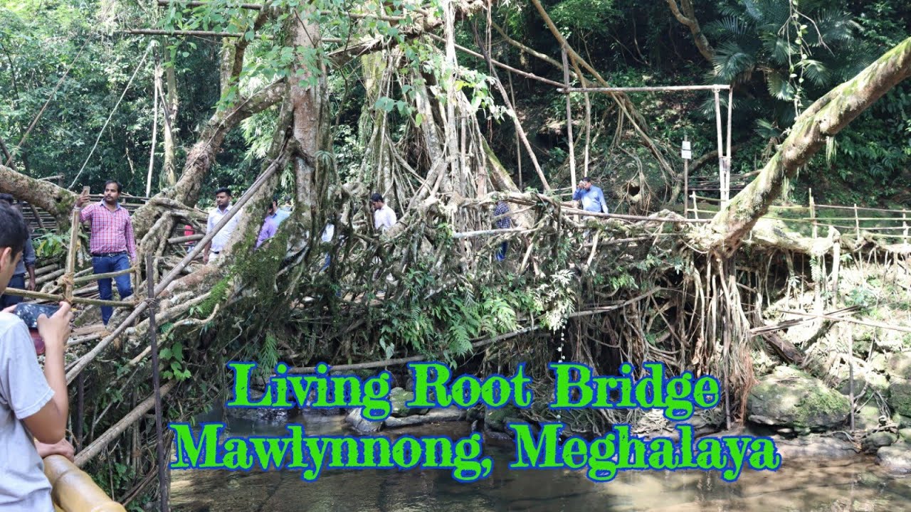 Living Root Bridge: Mawlynnong, Meghalaya || Shan Explore - YouTube